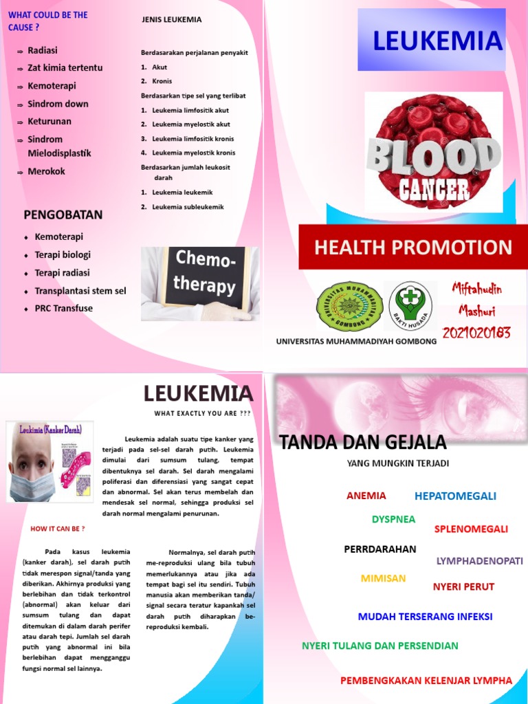 Leaflet Leukemia | PDF