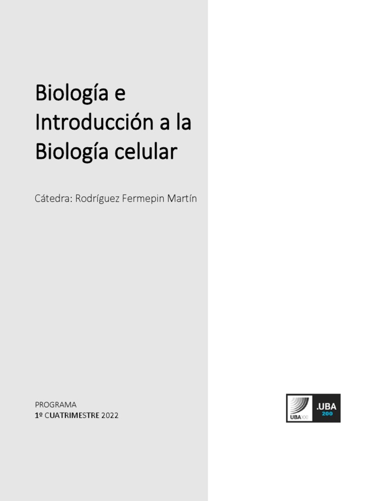 Programa 1C 2022 | PDF