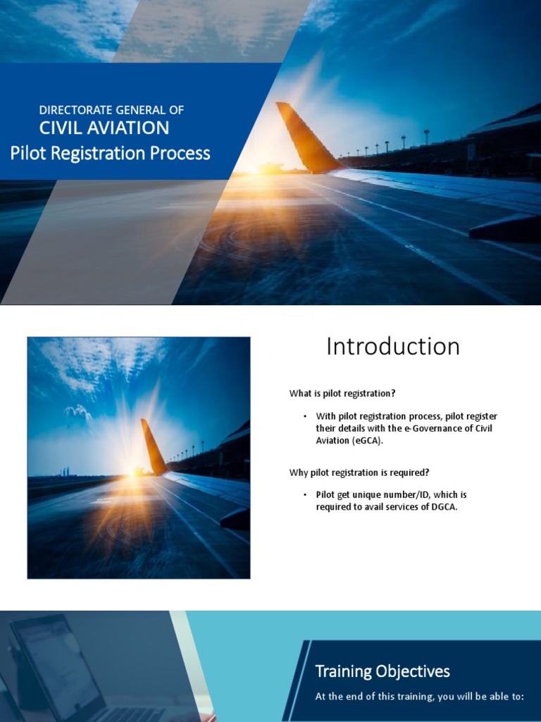 Pilot Registration Process Overview | PDF | Identity Document | Computing
