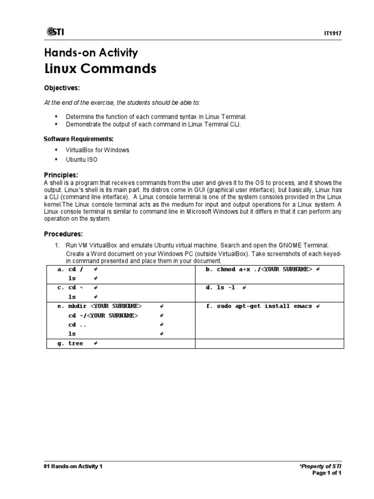 01 Hands-On Activity 1 | PDF