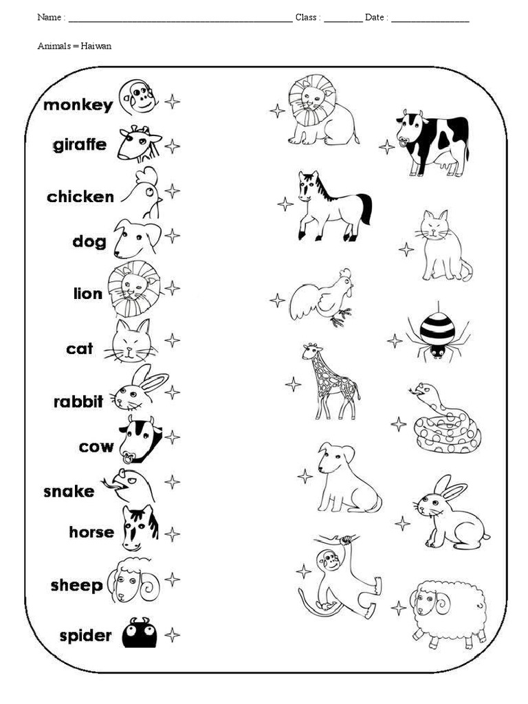 Animals | PDF