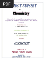 Chemistry Project Report Class 12 Cbse 2020-2021 Oon Topic Adsorption ...