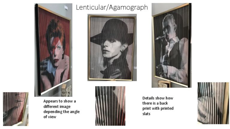 Lenticular Agamograph Explained | PDF