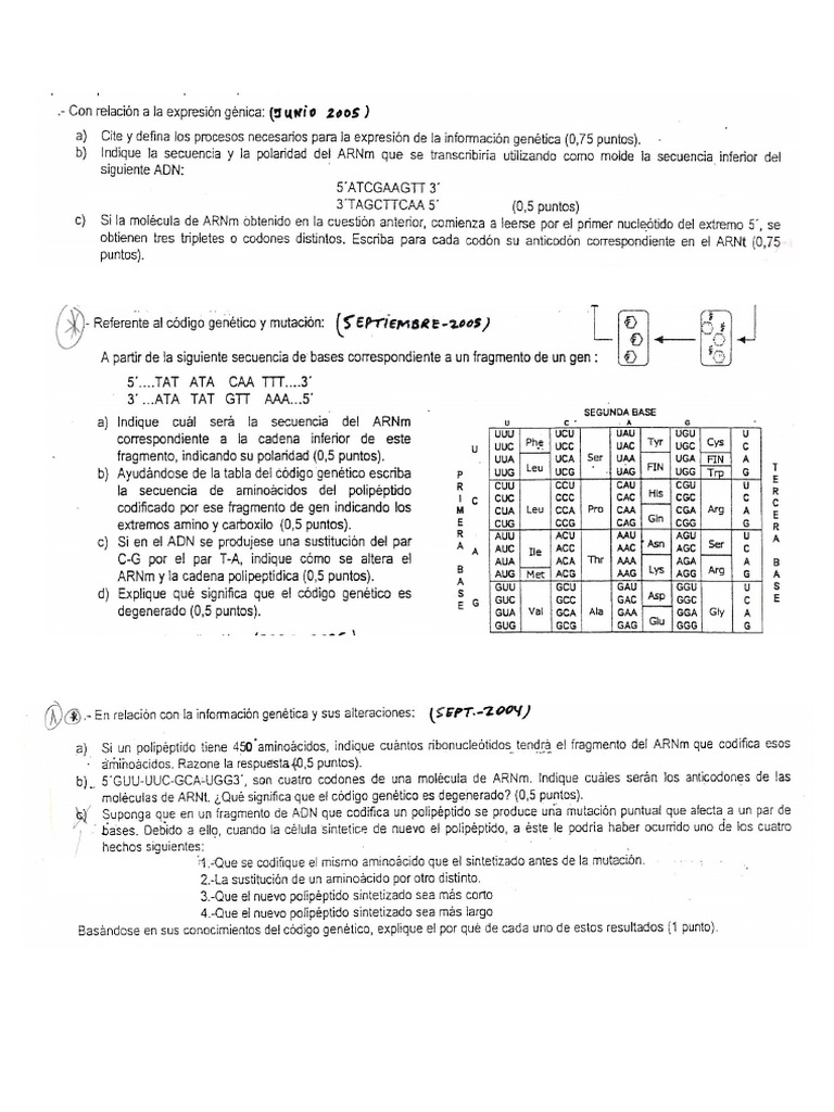 Ejercicios de Código Genético y Mutaciones 2 | PDF