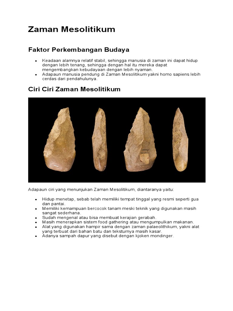 Zaman Mesolitikum | PDF