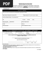 DC1 STPS Formato Word Editable | PDF