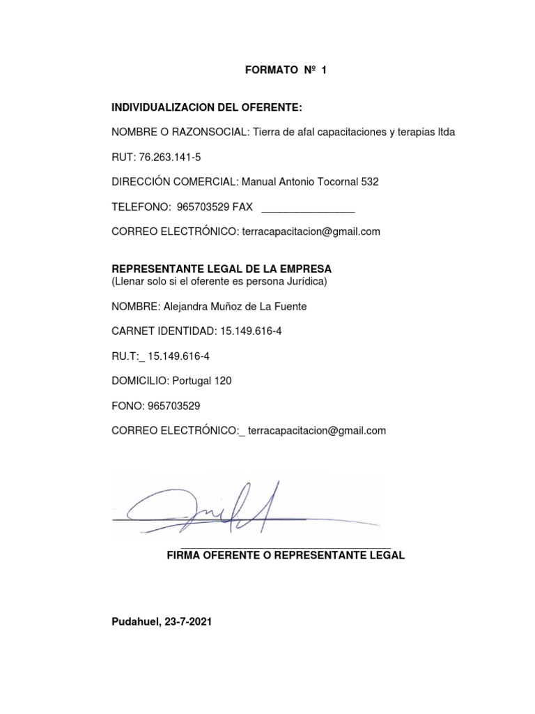 Formato N 1 | PDF
