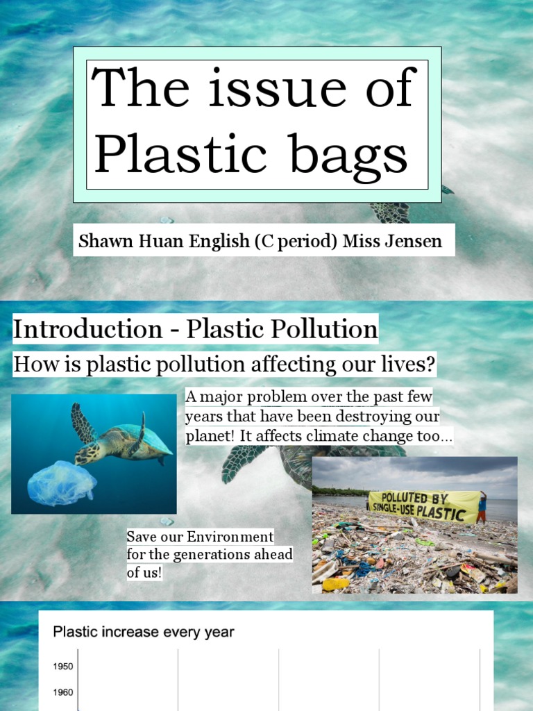 The Case for Banning Plastic Bags: An Argumentative Essay on the ...