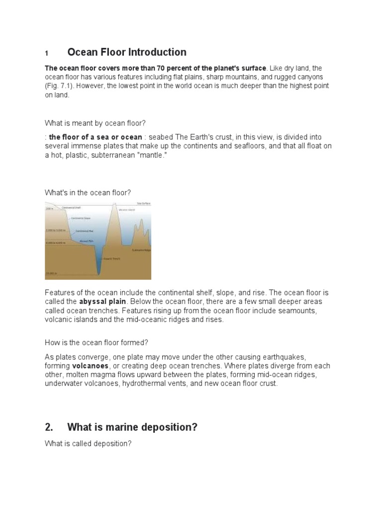 Types Of Ocean Floor Worksheet