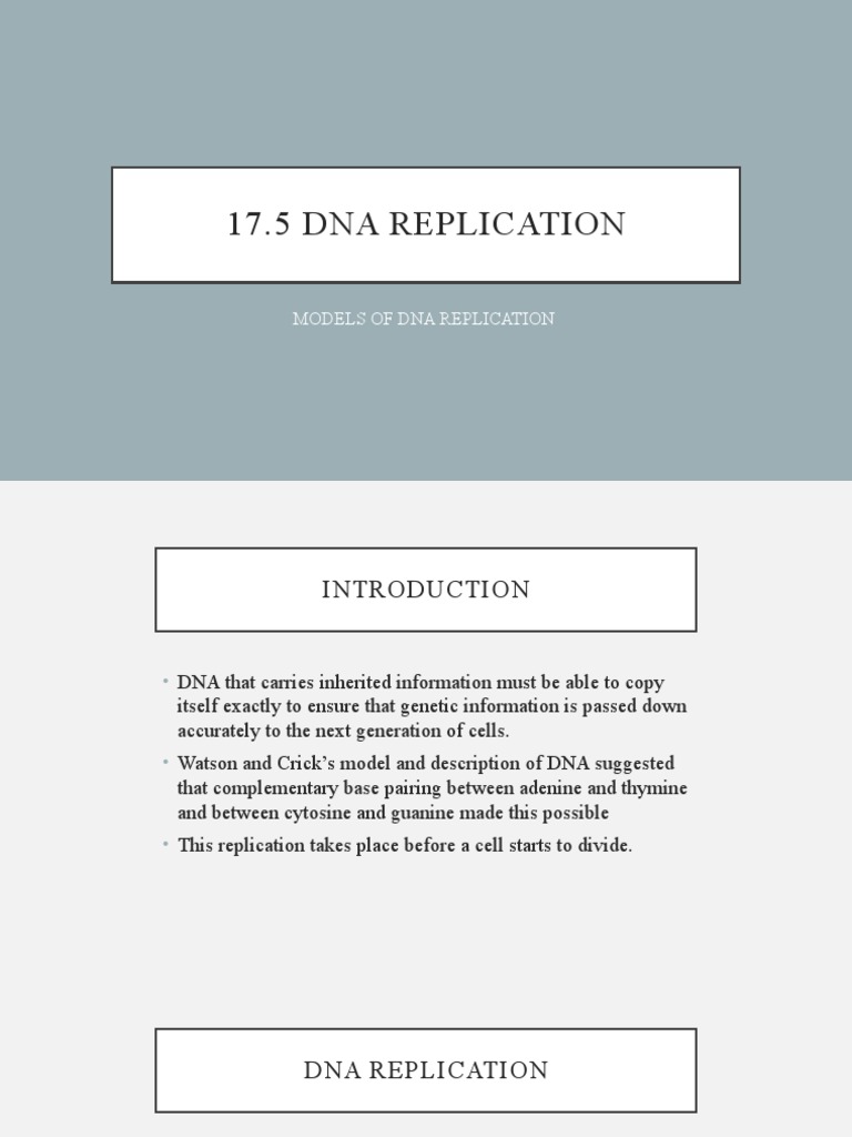 Models of Dna Replication | PDF | Dna Replication | Dna
