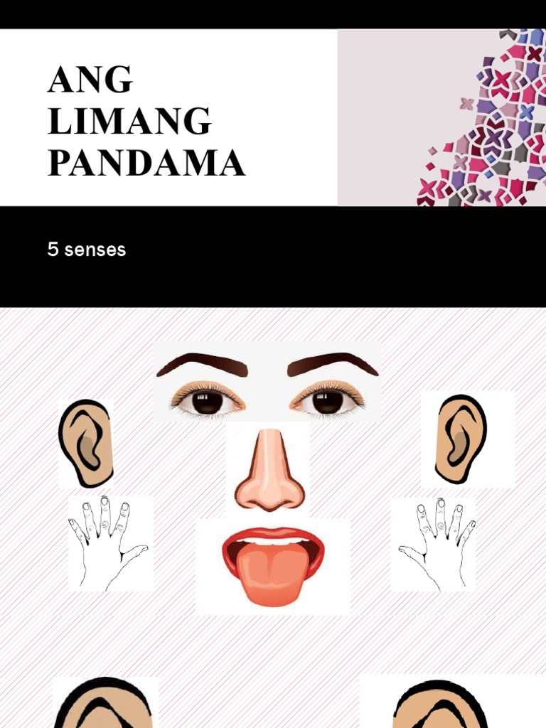 Limang Pandama | PDF