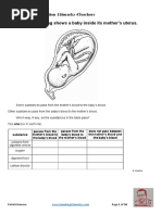 Y8 Term 3 Science Paper 1 Exam | PDF | Electrical Resistance And ...