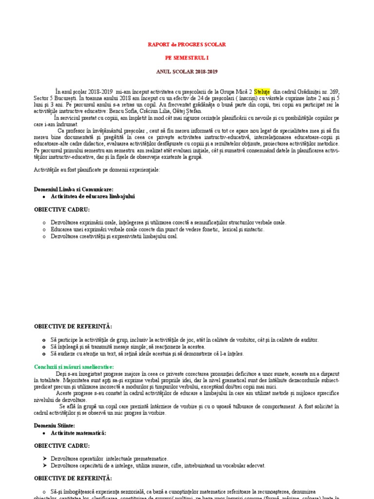 RAPORT de Progres | PDF