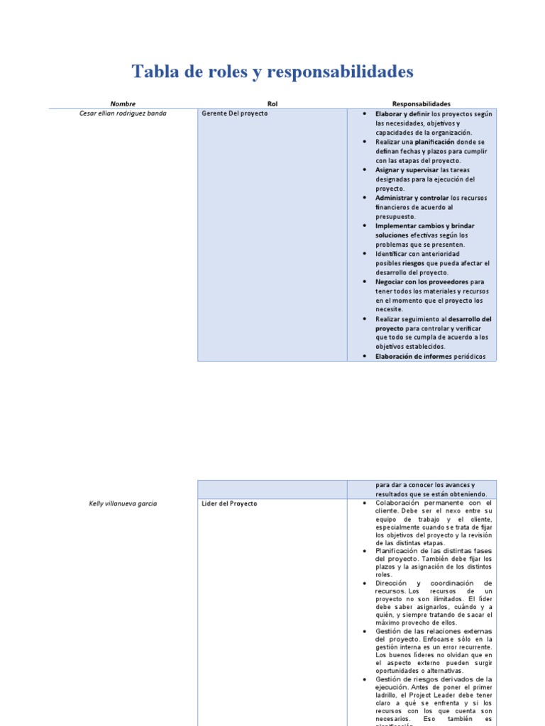 Tabla de Roles y Responsabilidades | PDF | Planificación | Business