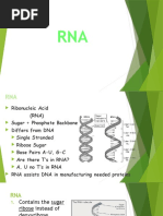 Lesson Plan Grade 10 Mutation | PDF | Genetic Code | Gene