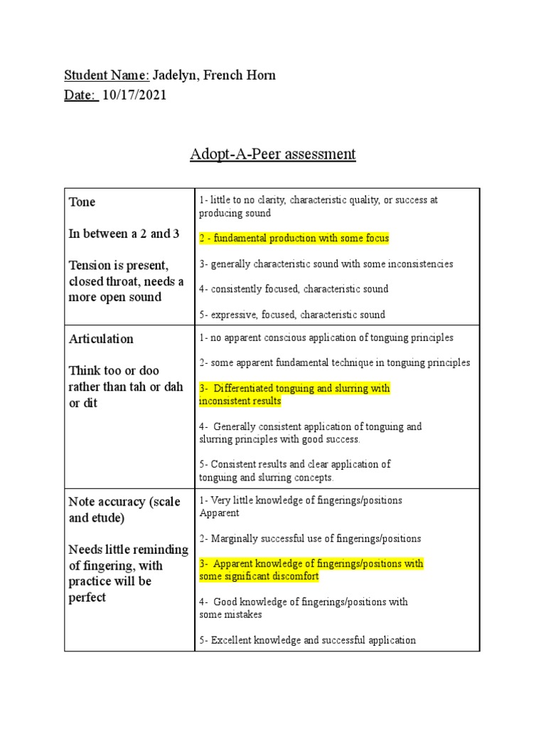 Playing Test Rubric | PDF | French Horn | Neuropsychological Assessment