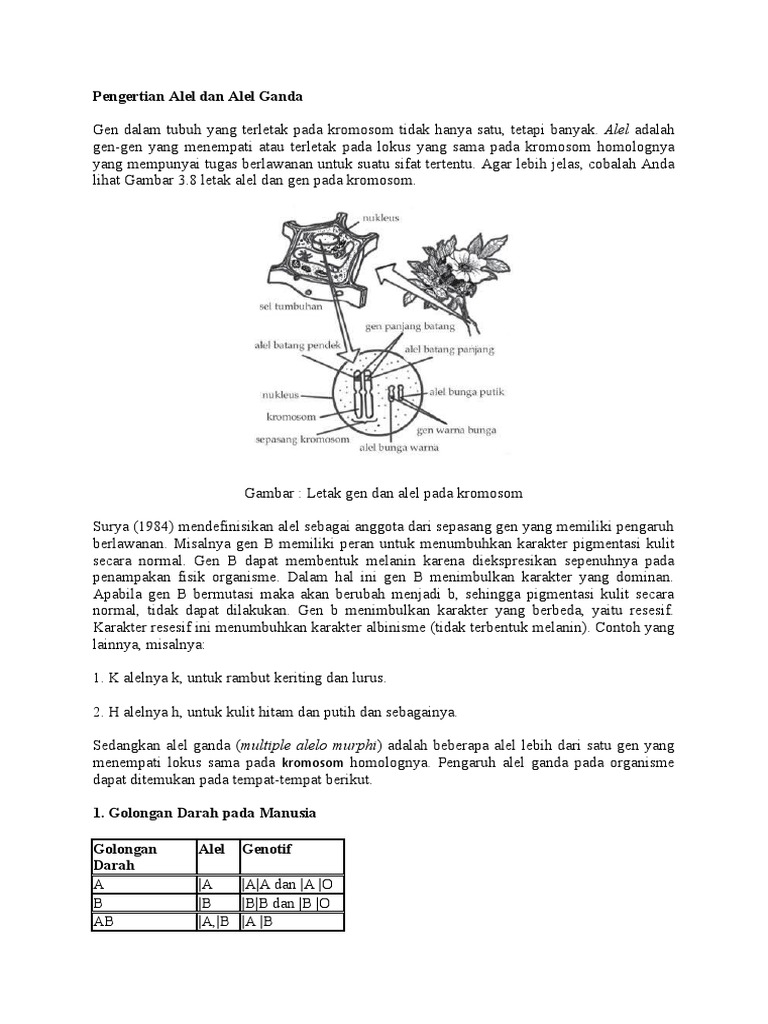 Pengertian Alel Dan Alel Ganda | PDF