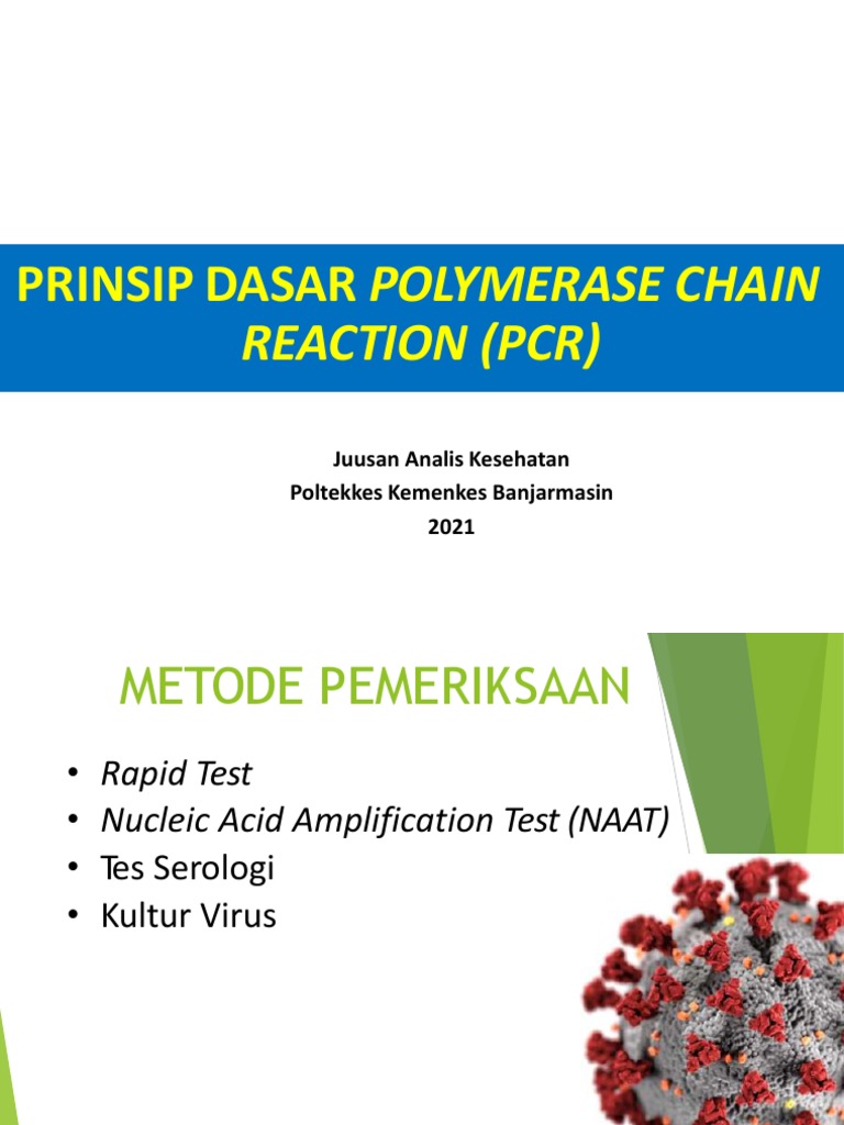 Prinsip Dasar PCR dalam Analisis Kesehatan | PDF