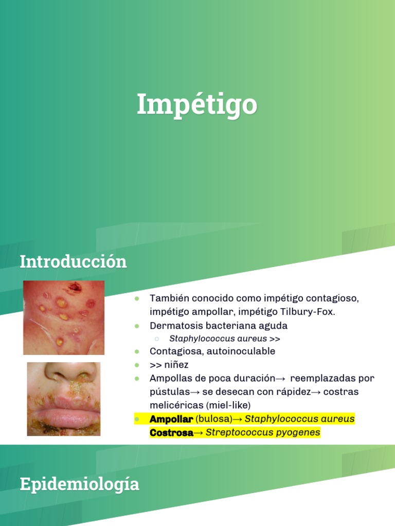 Impétigo: Tipos y Tratamiento | PDF | Staphylococcus Aureus | Medicina ...
