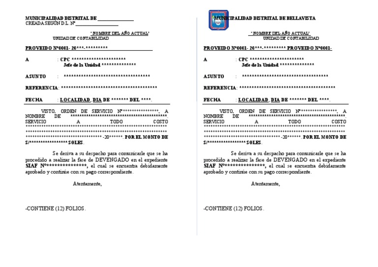 Modelo de Proveido | PDF