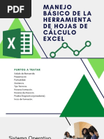 17 BasicoExcel AnalisisDeDatos | PDF