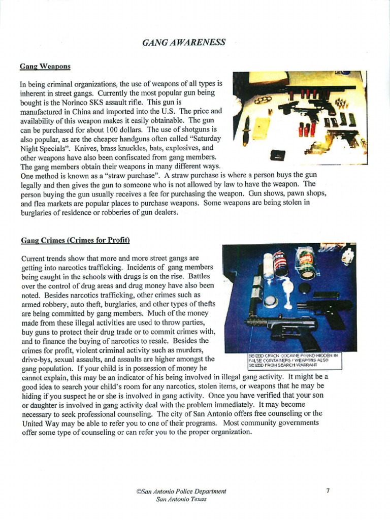 Gang Info | Gang | Criminal Subcultures