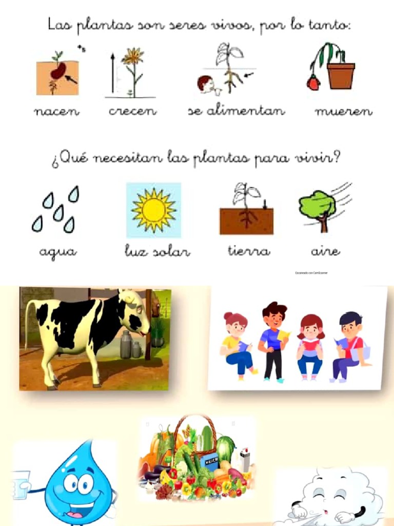 Necesidades de Los Seres Vivos | PDF