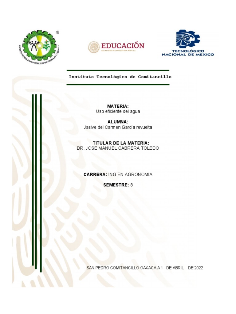 Instituto Tecnológico de Comitancillo: Materia: Alumna | PDF