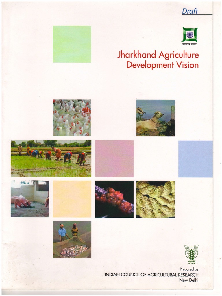 Jharkhand Agriculture Development Vision | PDF | Agriculture | Rice