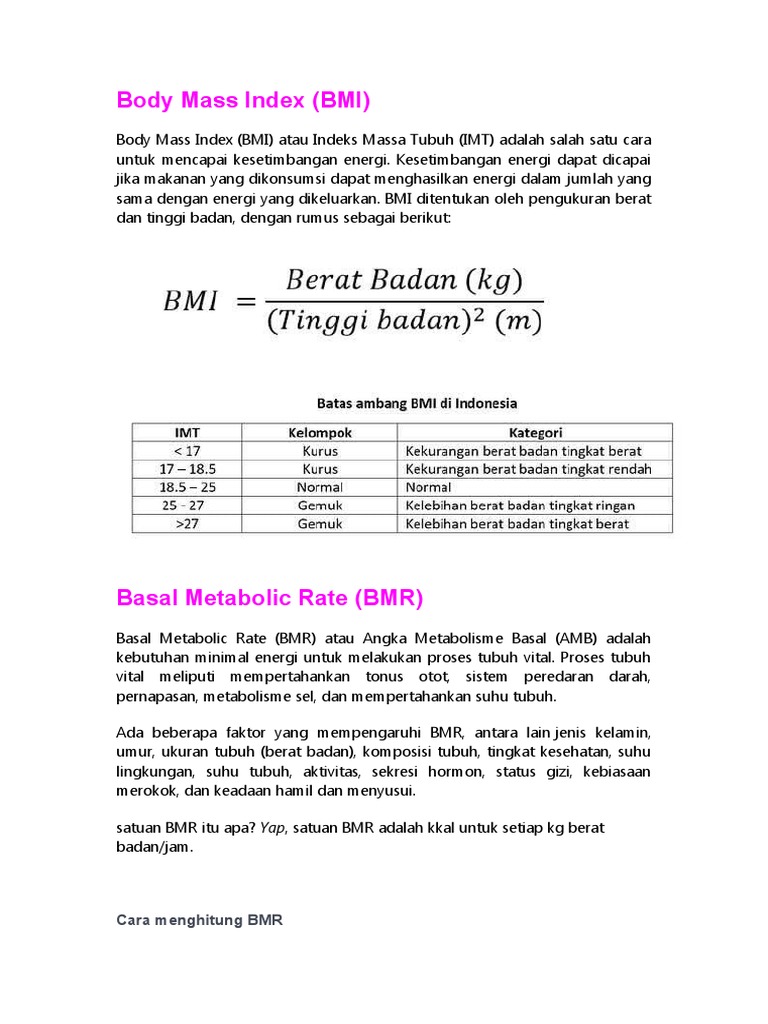 Body Mass Index Bmi Cara Menghitung Bmr Pdf