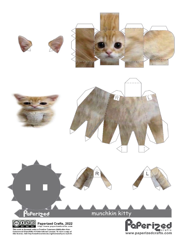Kucing Dudul | PDF