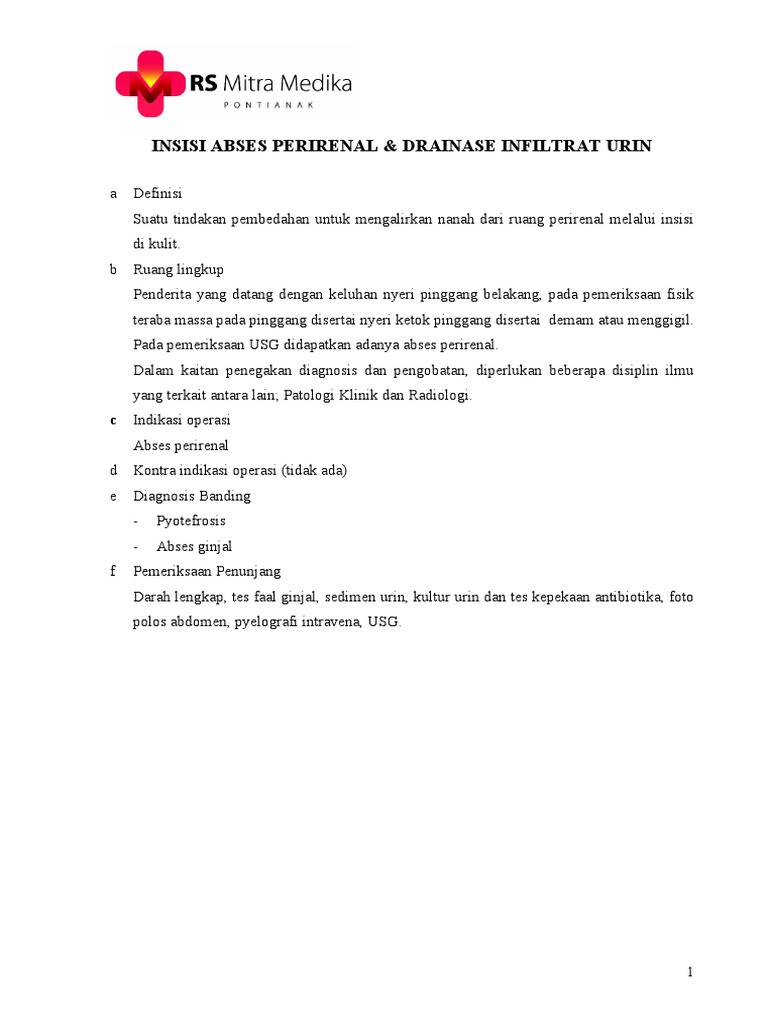 9 Urologi Insisi Abses Perirenal (5-590) | PDF