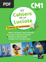 Fiches de Lecture Les Doigts Rouges CE2 | PDF