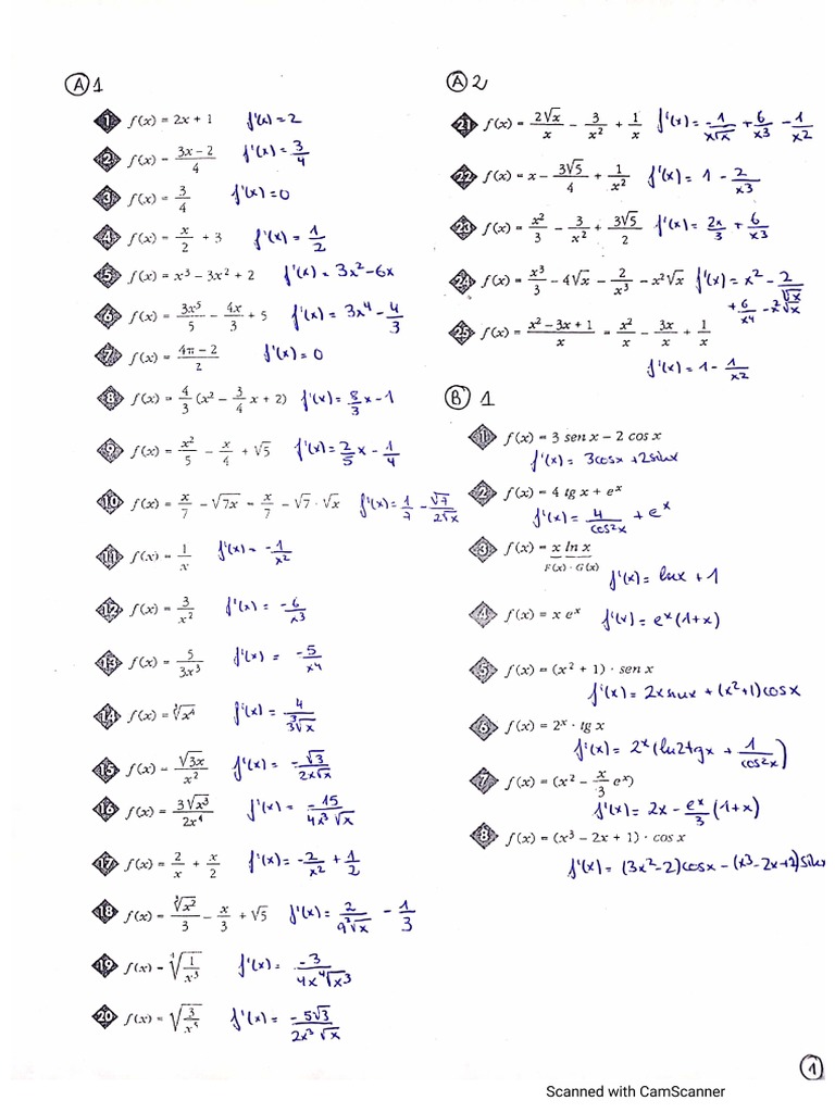 Fitxa Derivades Amb Solucions | PDF