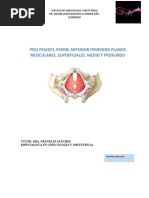 Anatomía y Función de los Músculos del Periné | PDF | Sistema ...
