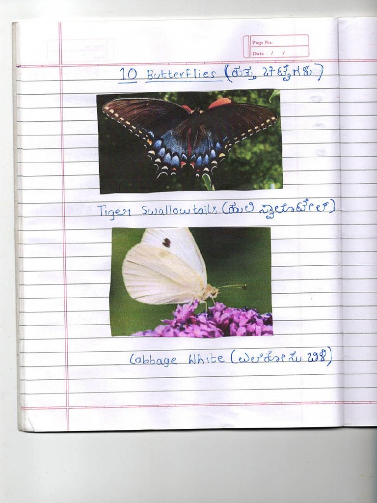 Kannada Project Work | PDF