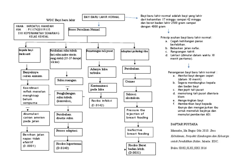 Woc Bayi Baru Lahir | PDF