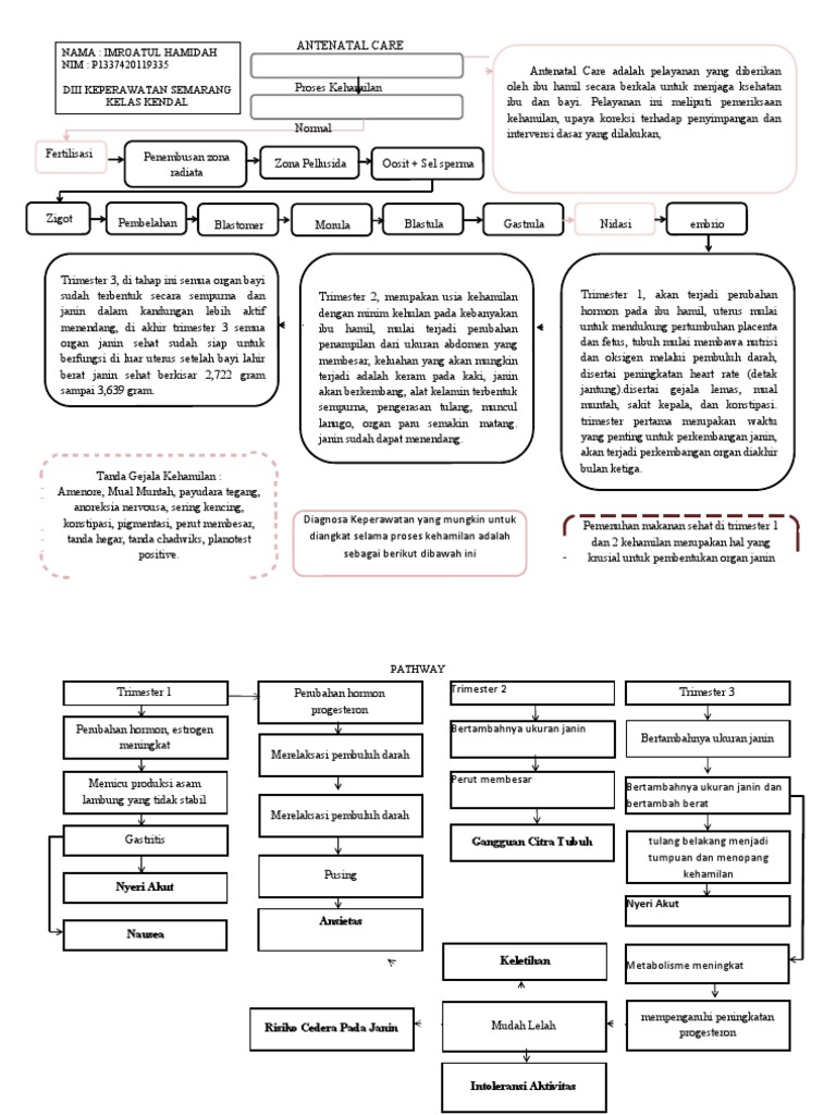 Woc Antenatal Care | PDF