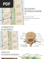 Anestesia Raquídea: Técnica y Complicaciones | PDF | Fluido ...