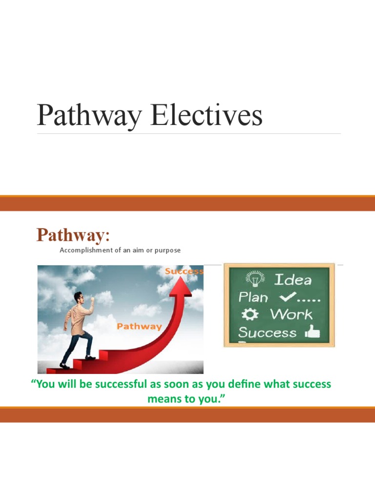 Pathway Elective | Download Free PDF | Computer Programming | Information