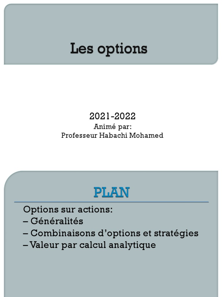 Les Options COURS | PDF