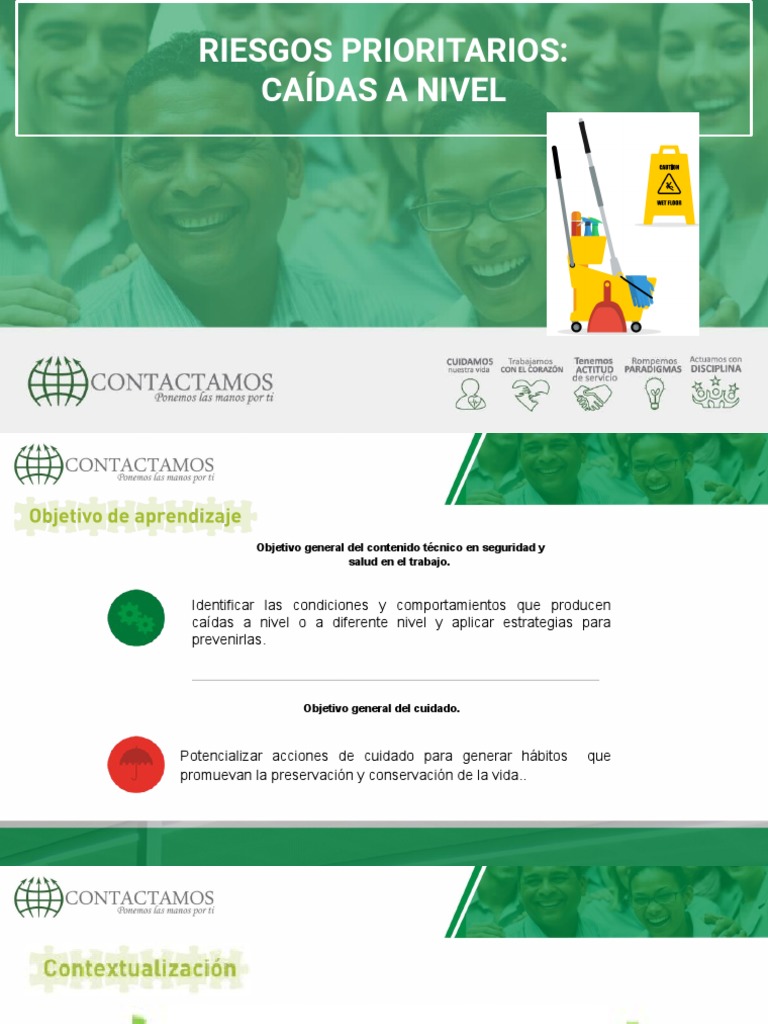 Presentacion Caidas A Nivel Pdf