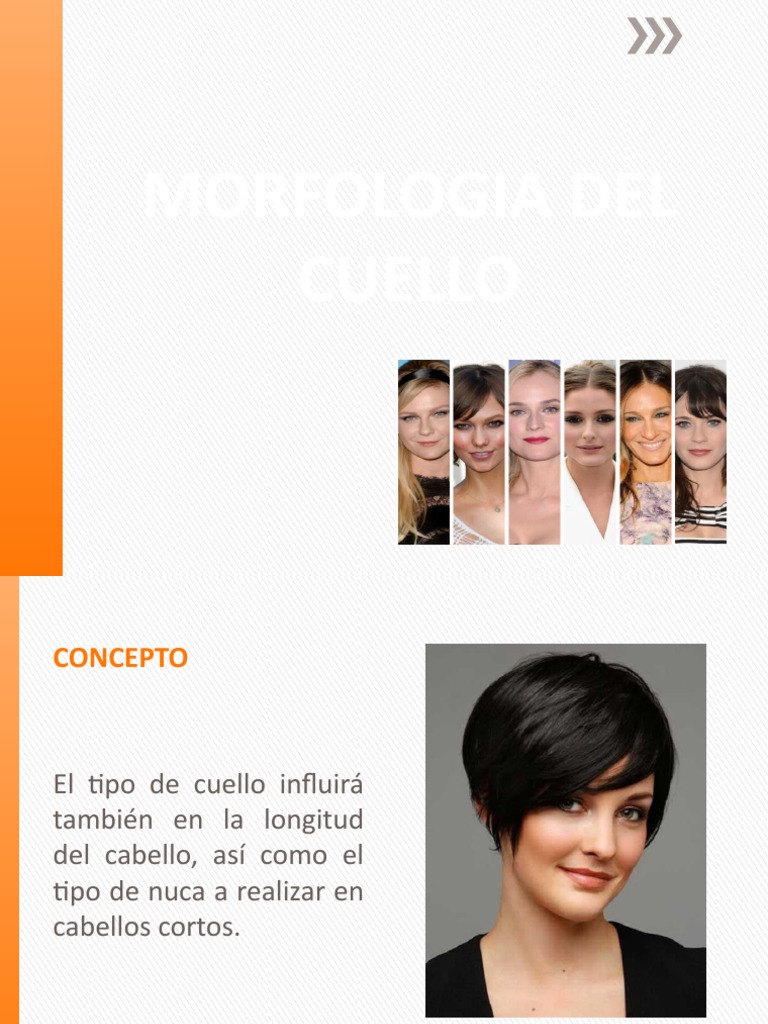 Morfologias de Formas de Cuello-6 | PDF