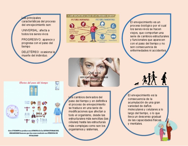 Infografia Envejecimiento Pdf