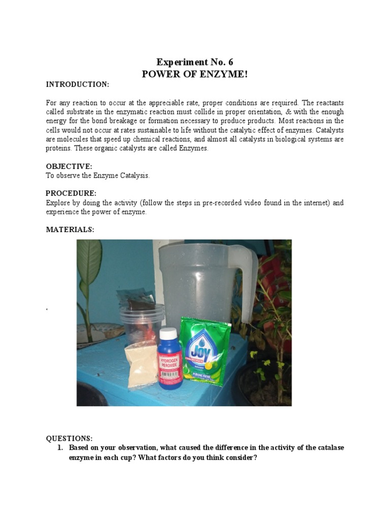 Observing Catalase Activity in Reactions | PDF | Enzyme | Catalysis