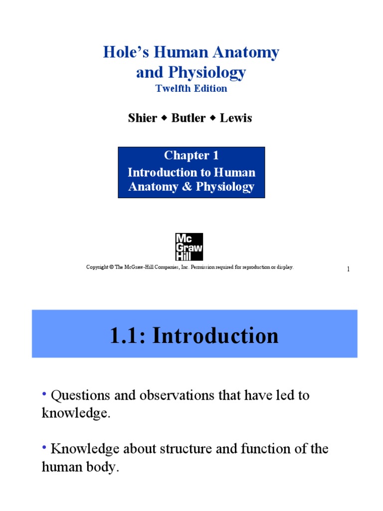 Chapt01 Holes Lecture Animation JWT | PDF