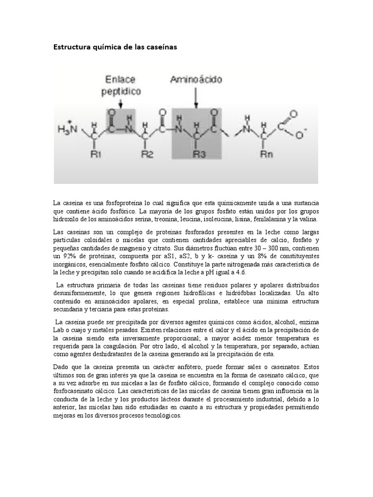 Estructura Química de Las Caseínas | PDF