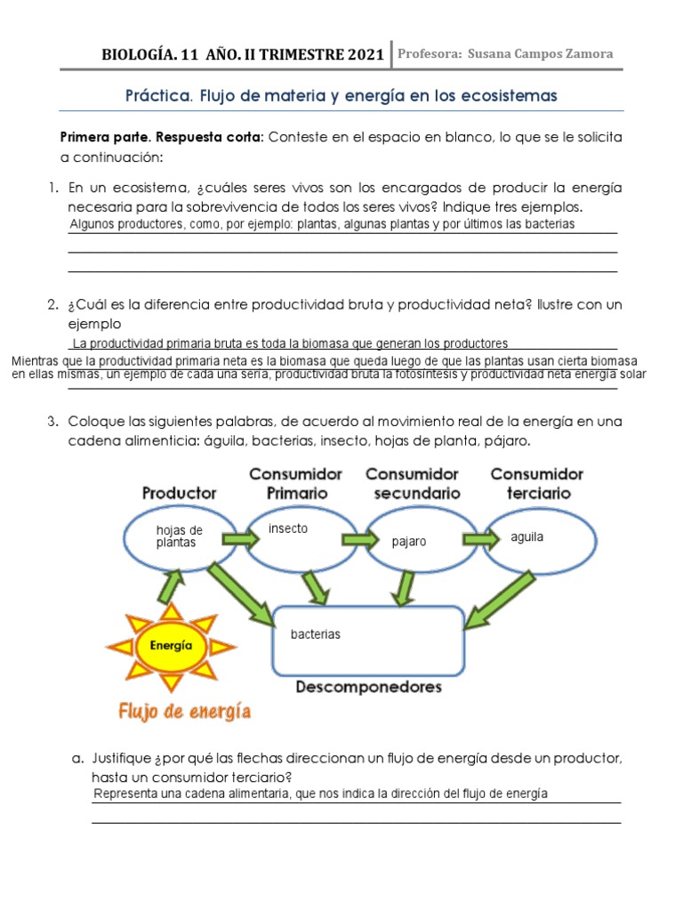 Práctica 2 - Flujo de Materia y Energía en Los Ecositemas | PDF | Red alimentaria | Ecología