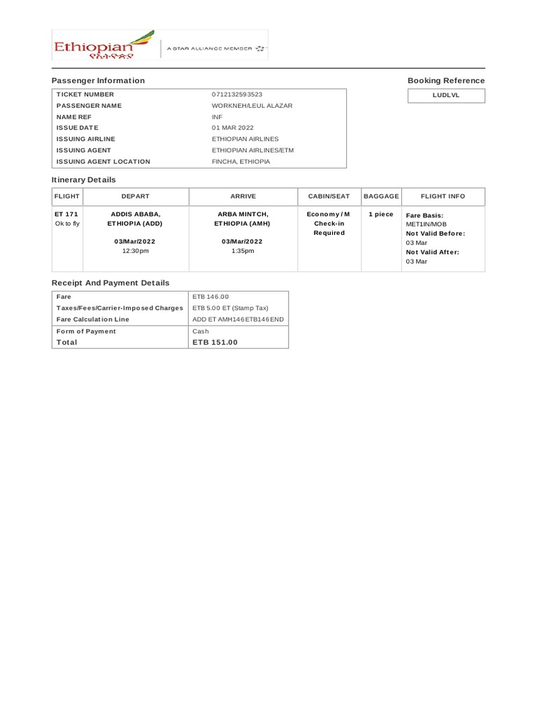 Electronic Ticket Receipt, March 03 For LEUL ALAZAR WORKNEH | PDF | Transport