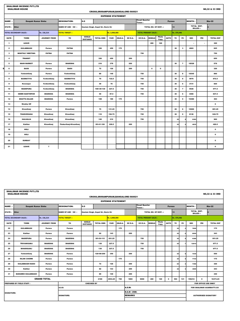 Field Force Expense Statement | PDF | Microsoft Excel | Spreadsheet ...